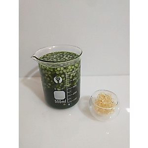 2PC Lip care Of Lips Pink Fresh Lightening Bleaching Cream Treatment Remove Dark Smoke Lips lip oil Green 2 Count (Pack of 1)