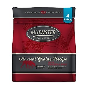 Muenster Adult Dry Dog Food, Small Breed, Large Breed - 4lb Bag Ancient Grain w/Chicken & Pork - Little Bites – Gluten Free, Non-GMO High Protein Dog Food - Soft & Healthy Digestive Dog Kibble