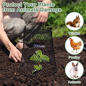 Dukelai 10 Pcs Chicken Wire Cloche Plant Covers Garden Netting Metal Heavy Duty Plant Protectors from Animals for Keeping Bunnies Chicken Squirrels Birds Other Out 9.13×9.13 in