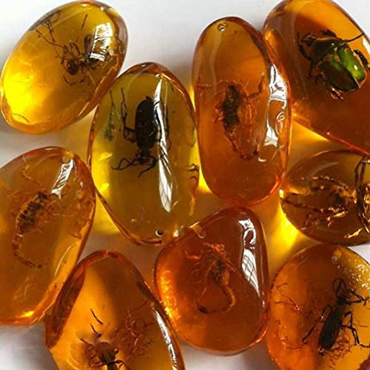 VORCOOL 5pcs Amber Fossil with Insects Samples Stones Crystal Specimens Home Decorations Collection Oval Pendant (Random Pattern)