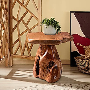 Warmaxx Cedar Natural Shape Tree Stump Stool 13.5"x12"x14"H Solid Wood End Table Rustic Plant Stand Live Edge Coffee Table for Living Room Bedroom Patio Accent Side Table Outdoor Garden Sit Foot Stool