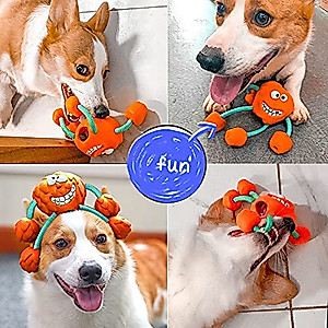 Dog Chew Toy Durable Dog Chew Toys for Puppy Small Large Dog Teeth Cleaning/Chewing/Playing (Orange Apple)
