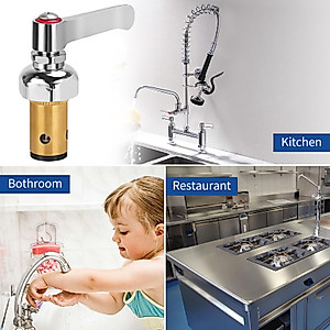 TNROTED Replacement 002714-40 Hot Side Lever Handle Brass Spindle Assembly Replacement Faucet Cartridge, Handle Stem Assembly Fits for All T&S Faucets, Red