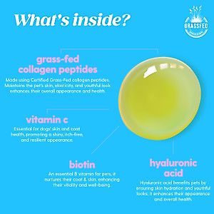 Skin and Coat Supplement for Dogs, Cats | Taily Liquid Collagen for Dogs | Itch Relief for Dogs with Allergies, with Grass Fed Collagen, Biotin, Vitamin C and Hyaluronic Acid | Made in USA