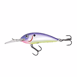 Northland Fishing Tackle Rumble Shad Medium Diving Balsa Crankbait - Freshwater Lures for Bass, Crappie, Walleye, Trout and Many More (Purple Pearl, 2.75", 1/2 Oz)