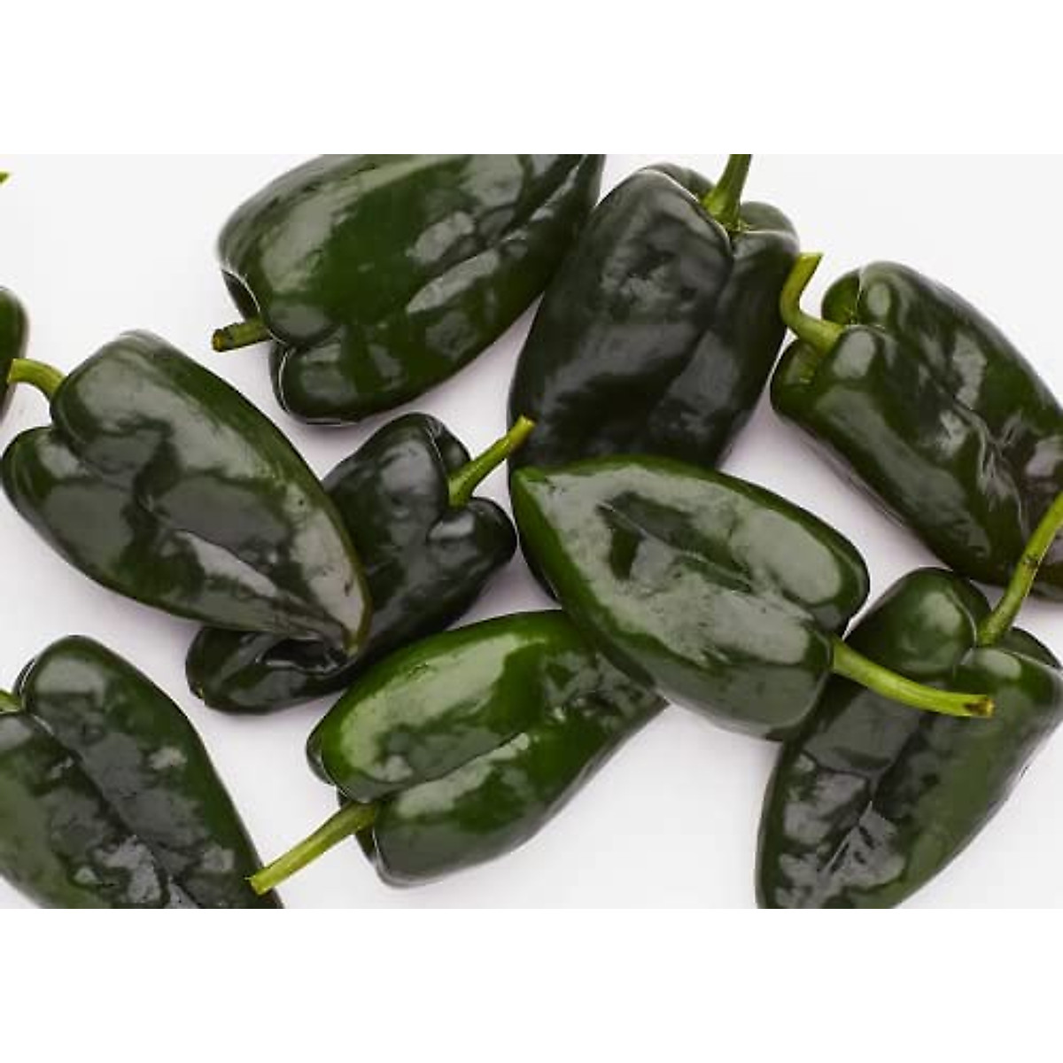 Poblano Ancho Grande Hot Chile Pepper Seeds for Planting, 50+ Heirloom Seeds Per Packet, (Isla's Garden Seeds), Non GMO, Botanical Name: Capsicum annuum, Great Home Garden Gift