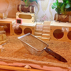 FIRSAL Cat Litter Scoop Stainless Steel Mesh Scooper Long Handle Deep Shovel Non-Stick Coated Metal Litter Scoop for Litter Box Kitten Pooper Lifter (Hole:3.8mm/Regular Cat Litter Scoop)