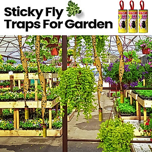 Qualirey 160 Pack Fly Strips Sticky Fly Trap Indoor Outdoor Hanging Fly Ribbon Tape Paper Flying Insect Trap Gnat Killer Traps for Fruit Flies, Bug, Insect, Pest (Yellow)