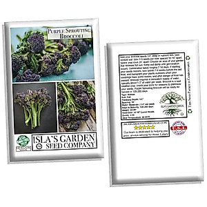 Purple Sprouting Broccoli Seeds, 500+ Heirloom Seeds Per Packet, (Isla's Garden Seeds), Non GMO Seeds, Botanical Name: Brassica oleracea, 85% Germination Rates