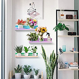 ULENDIS 4 Packs Large Iridescent Clear Acrylic Floating Shelf Wall Mount, 15.7" Wall Ledge Bookshelf with Installation Hardware, Shelf Display Organizer for Bathroom Bedroom Nursery Kitchen