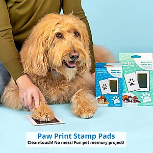 FUR GIFT Paw Print Stamp Pad, 100% Pet Safe, Pet Paw Print Kit, No-Mess Ink Pad, Imprint Cards, Pet Memorial Keepsake, Dogs, Cats, Small Pets, Pet Owner, Pet Memory Project, Nose Print (Medium-Large)