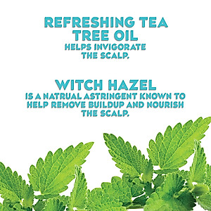 OGX Extra Strength Refreshing + Invigorating Teatree Mint Dry Scalp Treatment with Witch Hazel Astringent to Help Remove Scalp Buildup, Paraben-Free, Sulfate Surfactant-Free, 4 fl oz