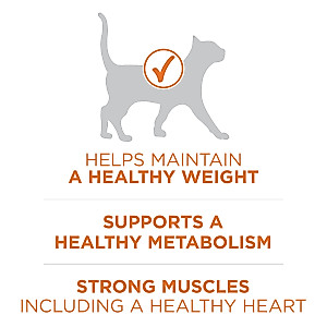 Purina ONE High Protein, Healthy Weight Dry Cat Food, +Plus Ideal Weight With Turkey - 3.5 lb. Bag