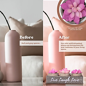 3 Small Fake Succulents Plants Artificial Rustic Centerpiece Box Faux Indoor Work Home Office Decor Women Cute Aesthetic Succulent Plant Desk Bedroom Coffee Table Decorations Living Room Dorm Décor