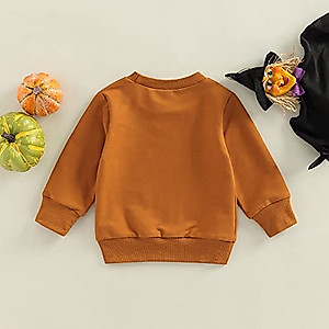 Toddler Baby Girl Boy Halloween Outfit Pumpkin Patch Crewneck Sweatshirt Pullover Sweater Fall Halloween Clothes (Hand Picked The Pumpkin Patch-Brown,6-12 Months)