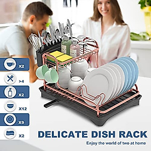 CAOANTRY Aluminum Dish Drying Rack, 2-Tier Rustproof Dish Rack with Automatic Drainborad Set, Small Dish Drainers- Space Saver for Kitchen Countertops, Rose Gold