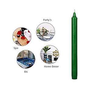 Zest Candle 12-Piece Taper Candles, 10-Inch, Hunter Green Straight