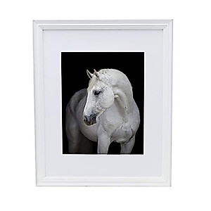 Studio Nova Picture Frame Displays 11 x 14 Photos 16 x 20 Without Mat, 16x20-Matted 11x14, White (5278448)