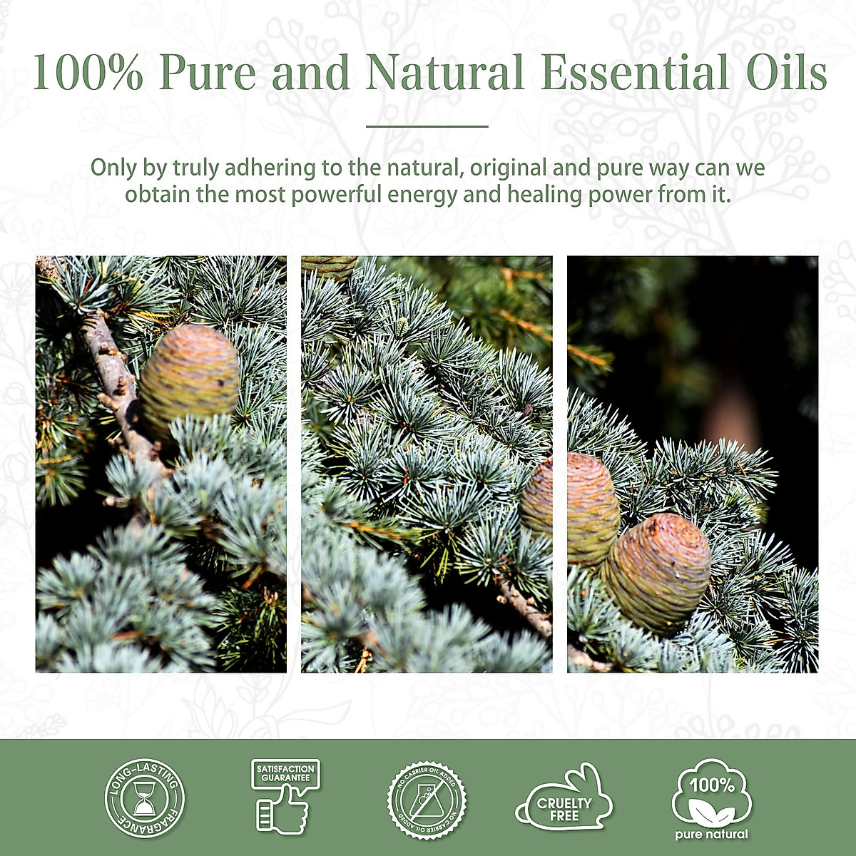 Cedarwood Essential Oil, 3.38Fl.Oz PHATOIL Pure Essential Oil Singles for Aromatherapy Diffusers, Humidifiers, Great for DIY Candle and Soap Making, Gift for Friend