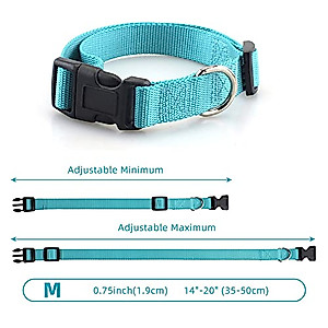 VIWIK Dog Collar with Safety Locking Buckle, Adjustable Durable Pet Collars for Small Medium Dogs, Heavy Duty Basic Collar Nylon Pet Collar, Teal-M