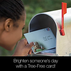 Tree-Free Greetings Hang in There, Rest Up and Heal Get Well Card Assortment, 5 x 7 Inches, 8 Cards and Envelopes per Set (GA31531)