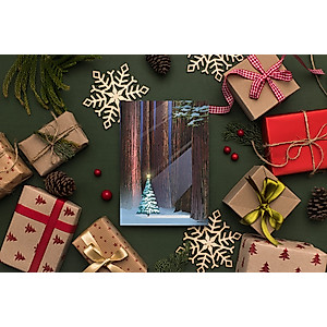 Stonehouse Collection Assorted Christmas Cards | Winter Forest Holiday Boxed Cards | USA Made | 18 Beautiful Christmas Cards & Envelopes (Forest)