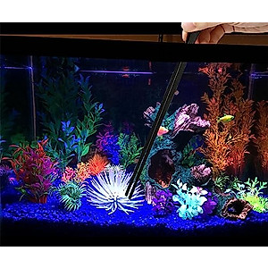 Aquarium Coral Feeder Long Tube Fish Tank Cleaner with Stainless Steel Straight and Curved Tweezers for Aquatic Plant Feeding Fish Tank Accessories (4 Pack)