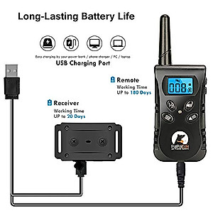 Paipaitek No Shock Dog Training Collar, Rechargeable & Waterproof No Shock Dog Collar with Remote, Up to 1600Ft Remote Range