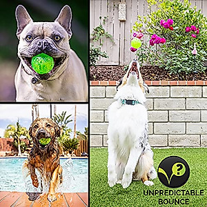 Hyper Pet DuraSqueak Dog Ball Dog Toys (Interactive Dog Toys that Float&Squeak) Squeaky Dog Toys&Dog Balls for Playing,Fetching&Retrieving-Great Alternative to Traditional Tennis Balls Green 2.5 Inch