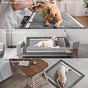 MIZOK Pee Pads for Dogs Large 28x34 Inches, Charcoal Puppy Pads New & Improved Odor-Control Absorbs Up to 8 Cups of Urine Dog Pee Pads, 6-Layer Leak-Proof Wee Wee Pads for Dogs (40 Counts)