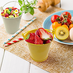 12 Pack Mini Metal Buckets Small Metal Pail Tinplate Tin Pails Containers with Handles for Party Favors and Garden Decorations