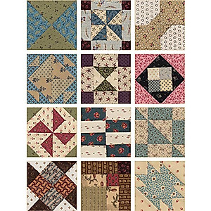 Schoolgirl Sampler: 72 Simple 4" Blocks and 7 Charming Quilts