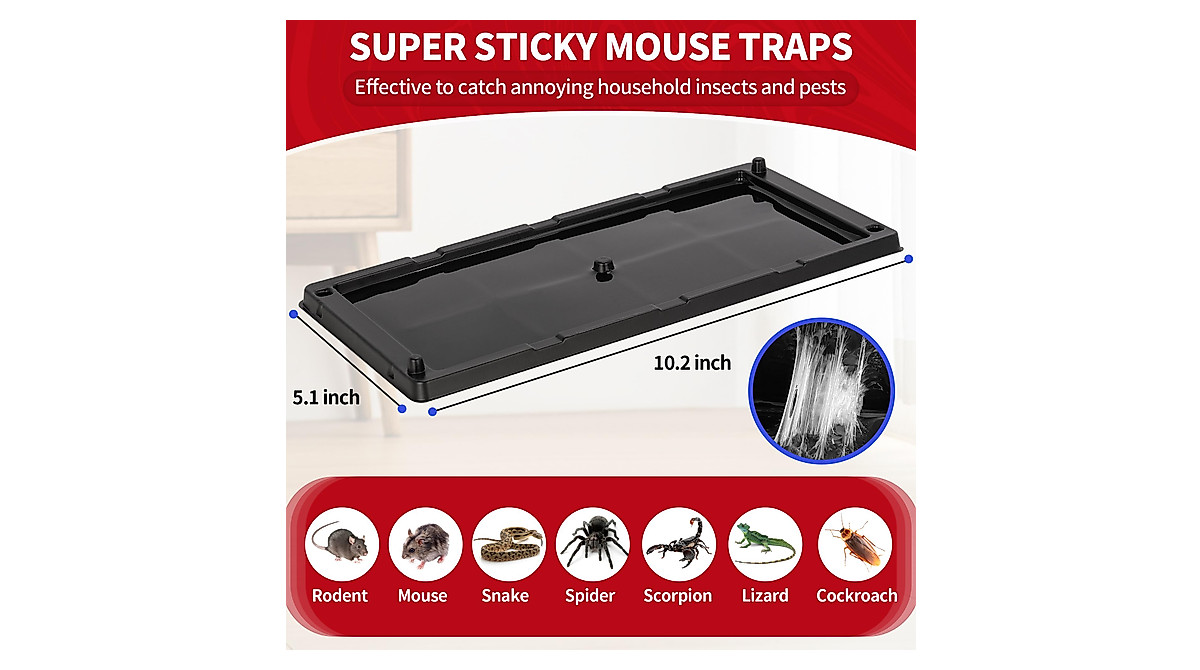 LULUCATCH Sticky Mouse Traps - Safe & Effective 6 Pack
