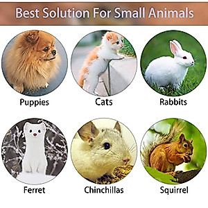 PINVNBY Rabbit Dog Water Bottle No Drip Hanging Chinchilla Water Dispenser Plastic Leak-Proof Bunny Waterer Suspended Small Pet Water Feeder for Ferret Hedgehog Squirrel Kitty Puppy (Pink)