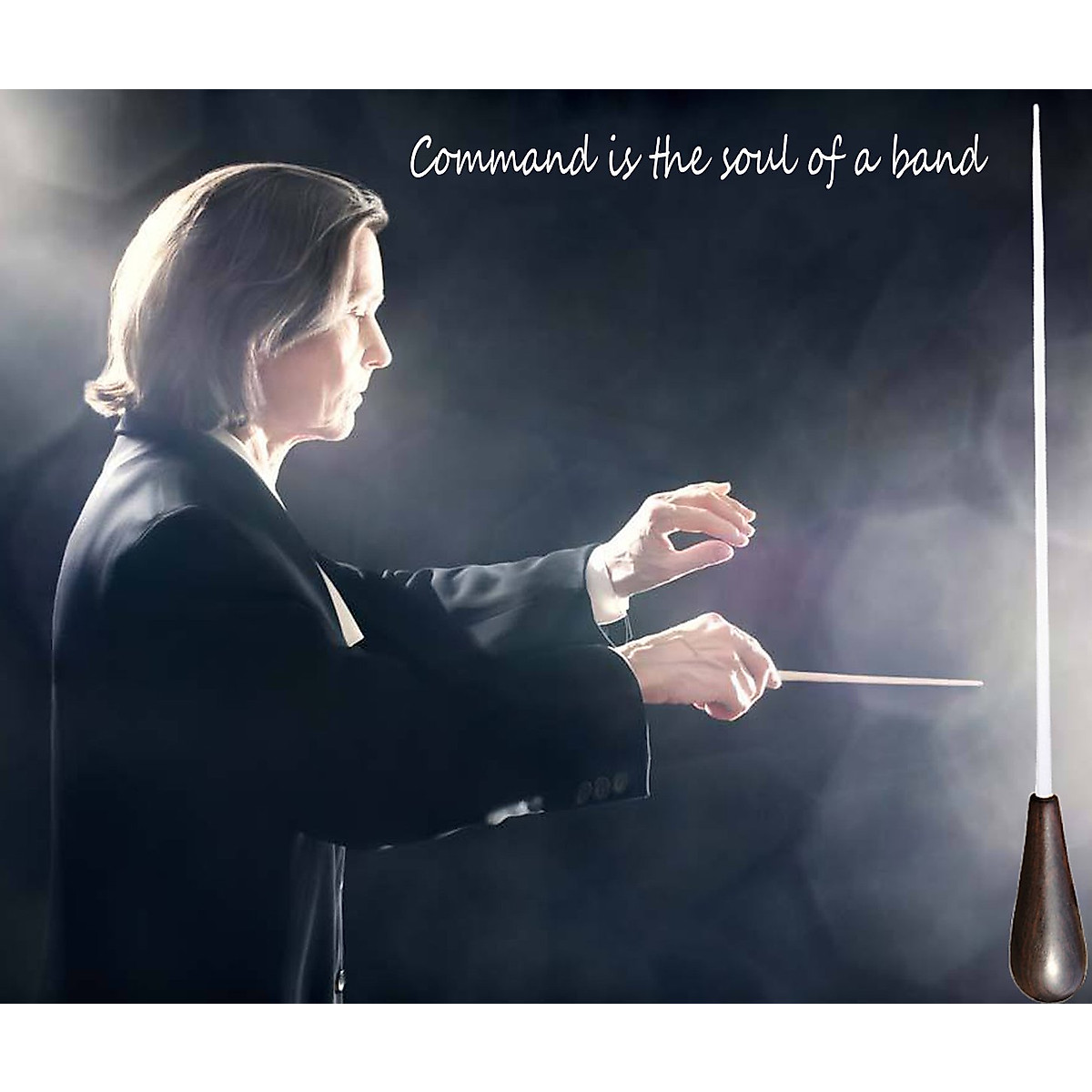 Music Band Conducting Baton Orchestra Baton Black Walnut Handle Baton with Tube case(Black Walnut Handle)