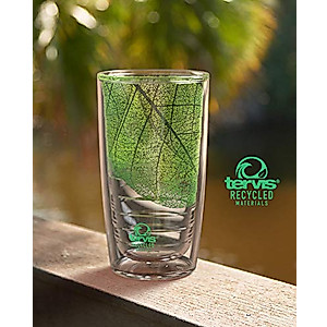 Tervis 1362367 Recycled Insulated Tumbler, 16oz, Peek-a-boo Lizard