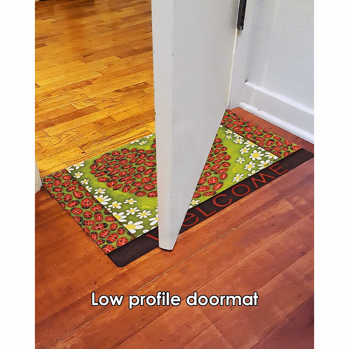 Toland Home Garden 800003 Ladybug Heart Summer Door Mat 18x30 Inch Welcome Outdoor Doormat for Entryway Indoor Entrance