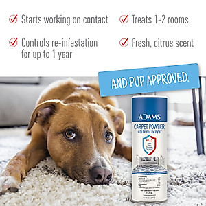 Adams Carpet Powder + Flea & Tick Dog Collar