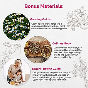 14 Medicinal & Tea Herb Seeds Variety Pack for Planting Indoor & Outdoors. 3500+ Non-GMO Heirloom Herbal Garden Seeds: Anise, Borage, Cilantro, Chamomile, Echinacea, Rosemary, Lavender Seeds & More