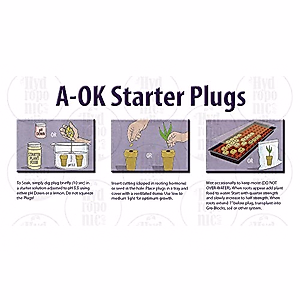 Grodan 1.5" Rockwool Starter Plugs, 2 Sheets of 49 Plugs (98 Plugs Total) + Twin Canaries Chart