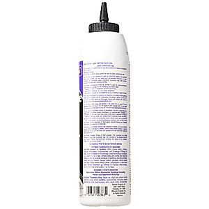 Bonide 363 Spider And Ground Bee Killer - 10 oz.
