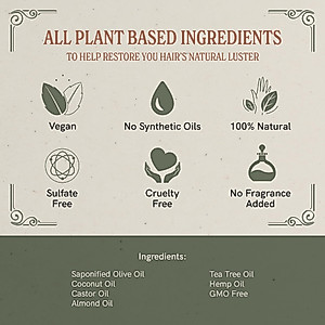 J·R·LIGGETT'S All-Natural Shampoo Bars - Tea Tree & Hemp Oil Formula, Strong and Healthy Hair, Nourish Follicles with Antioxidants & Vitamins, Detergent and Sulfate-Free, Set of Three, 3.5 Ounce Bars