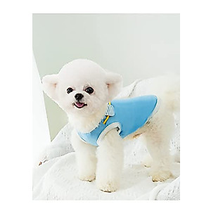 YiQ RiC Dog Shirt for Small Dogs Fashion Pet Dog Clothes Cat Outfit Puppy Sun Shirt Pet Apparel Birthday Christmas Pineapple Shoulder Bag Adorable Cool Breathable (Small)