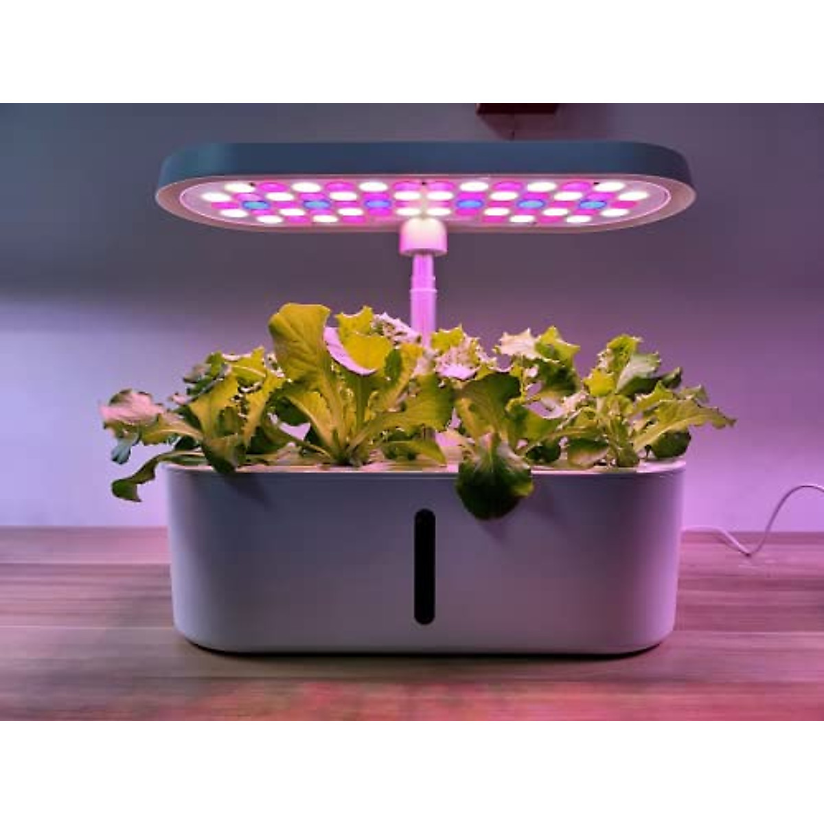 DEAR CARBON Hydroponics Growing System 8 Pots, Indoor Garden with LED Grow Light, Upgrated Lens, Plants Germination Kit, Adjustable Height to 22"