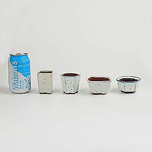 Happy Bonsai 4 pc Mini Glazed Pots Value Set