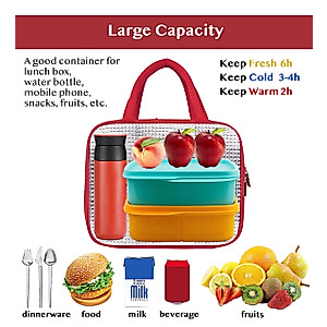 Insulated Lunch Box Bag for Kids, Reusable Durable Lightweight Lunch Bag for Girls Boys, Keep Food Cold/Warm, Lion