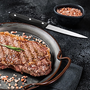 Lasnten 100 Pcs 8.78 Inches Stainless Steel Steak Knives Set Pointed Tip Steak Knives Plastic Handle Kitchen Steak Knife for Restaurant Tableware Camping Wedding Party, Black