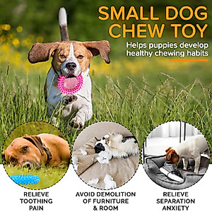 Hurray 3 Pack Puppy Teething Chew Toys for Relieve Itching and Clean Teeth - Dog Toys for Small Dogs, Puppies Dog Teething Toys - Size Small, Pet Supplies Rubber Dental Chew Toy - Up to 15 lbs