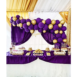 Purple Gold Graduation Party Supplies NYU Purple Gold Graduation Party Decorations 2023/Graduation Backdrop Purple Gold Grad Balloons/Photography Background for Class of 2023 Graduation