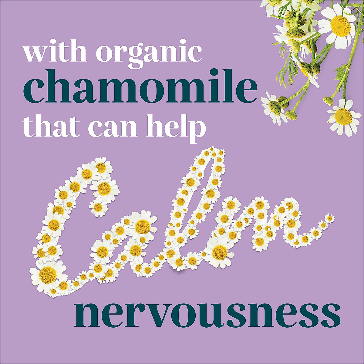 EverRoot By Purina Calming Dog Supplements Soft Chews - 10.6 oz. Canister